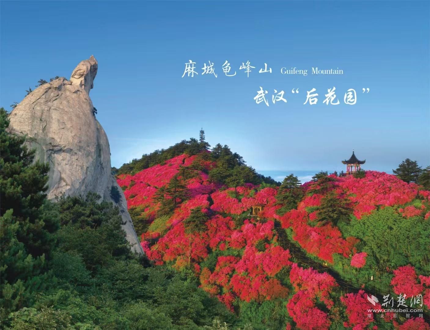 喜报！湖北麻城龟峰山景区晋升国家5A级旅游景区 - 湖北日报新闻客户端