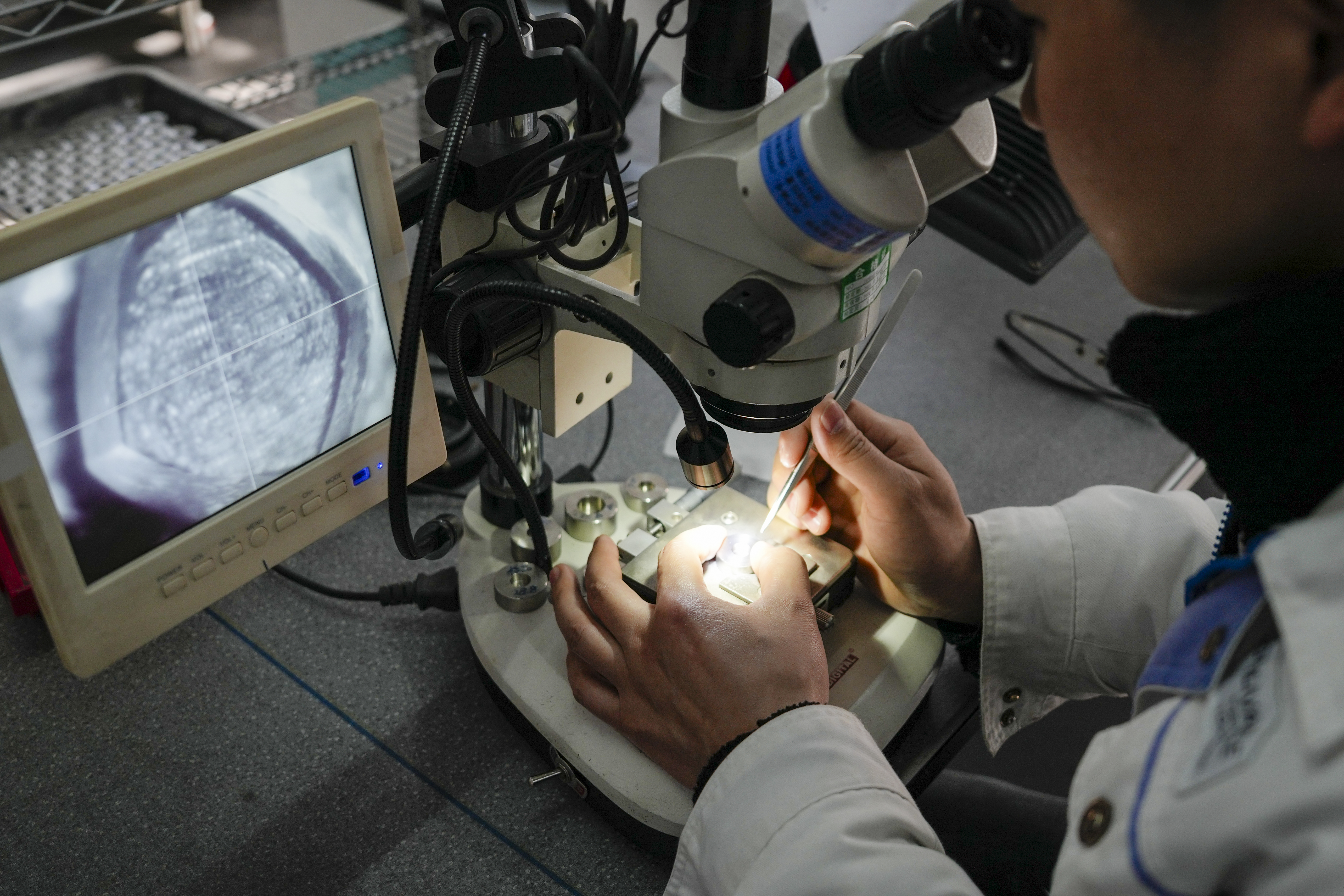 就近拿地建厂，这些“毕业生”为何毕业不离园？ - 湖北日报新闻客户端