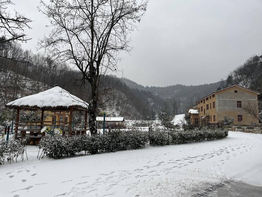 从“一处美”到“一片富”：武当山龙王沟的民宿经济学 - 湖北日报新闻客户端