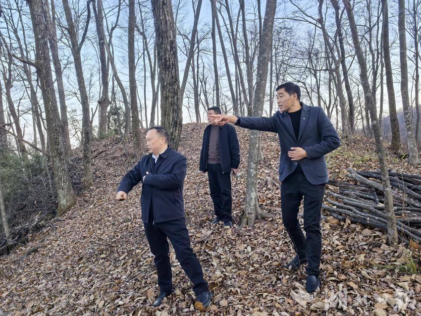 竹溪县出台林下经济林地利用新政 - 湖北日报新闻客户端